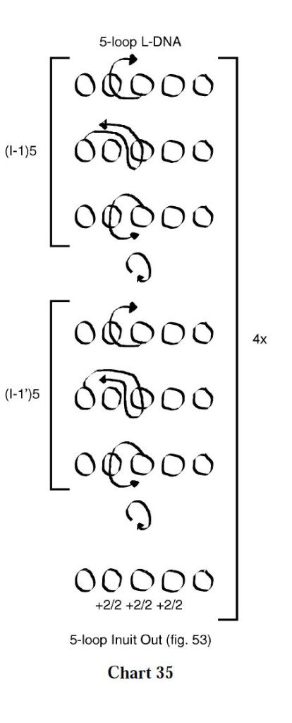 cherokee 7 stars in a 5 loop environment - torusflex